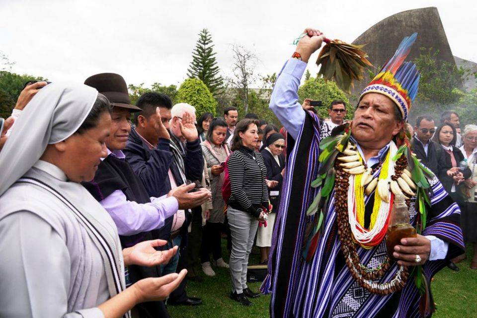 Expect North American church to learn from pan-Amazonian synod - OMI ...