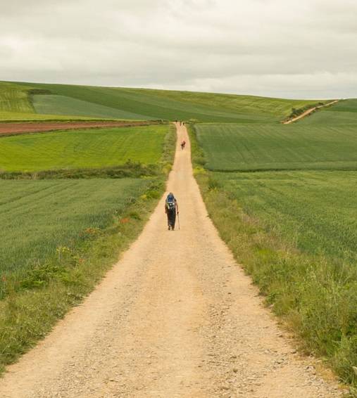 "Walker, there is no path! The path is made in walking" - OMI Lacombe