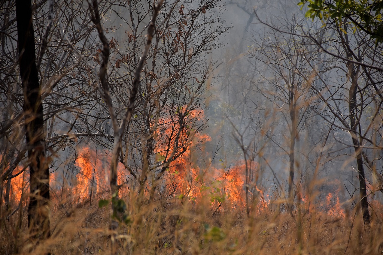 The Air We Breathe - OMI Lacombe